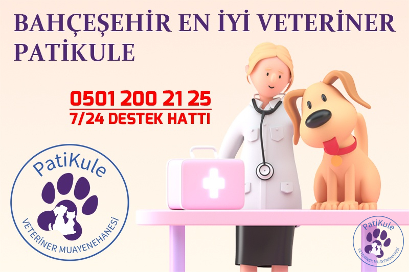Bahçeşehir Veteriner Kliniği PatiKule - 7/24 Acil Veteriner